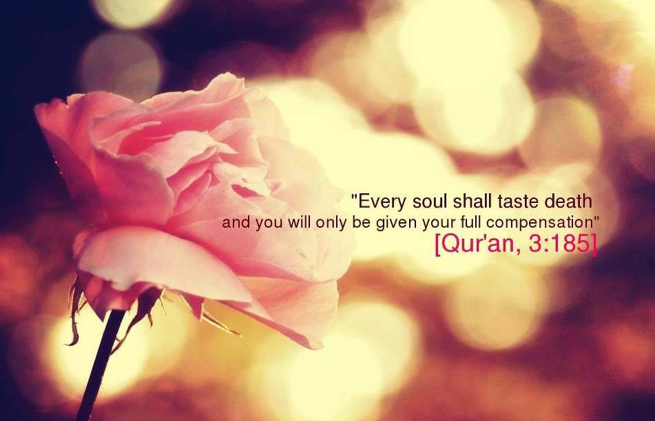 Paper: The Conveyance of the Reward of Worship to the Souls of the ...