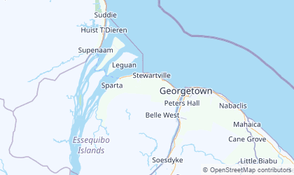 Guyana’s President Was Raised By A Strong Accomplished Mother ...